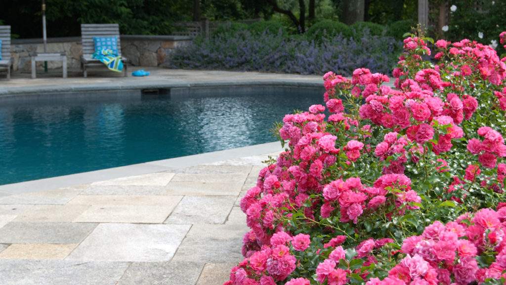 The Spring into Summer Sale | Tarson Pools & Spas | Central New York